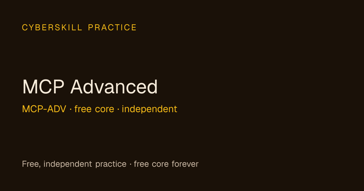 Model Context Protocol: Advanced Topics practice | CyberSkill